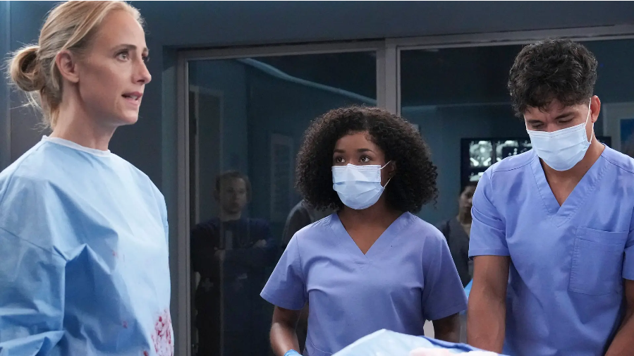 ‘Grey’s Anatomy’ Season 20 Cast, Return Date and Everything to Know
