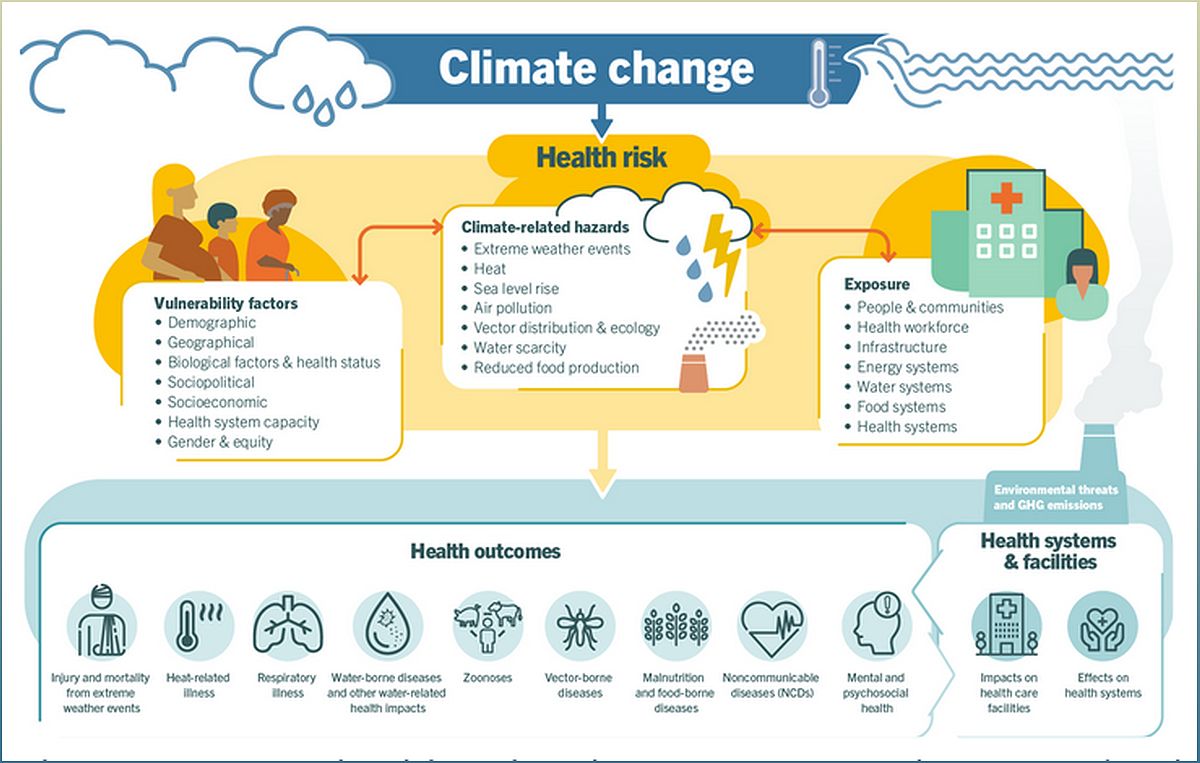 The Link Between Climate and Health: Insights from COP28